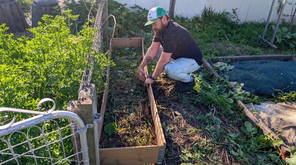 Paul West’s Guide to Building Raised Garden Beds at Home – Backyard Farmer