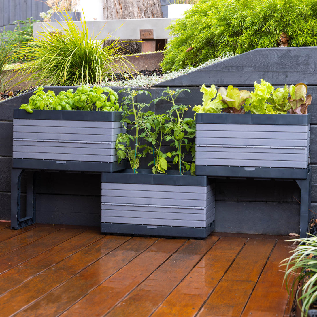 Raised Garden Beds – AMES Backyard Farmer
