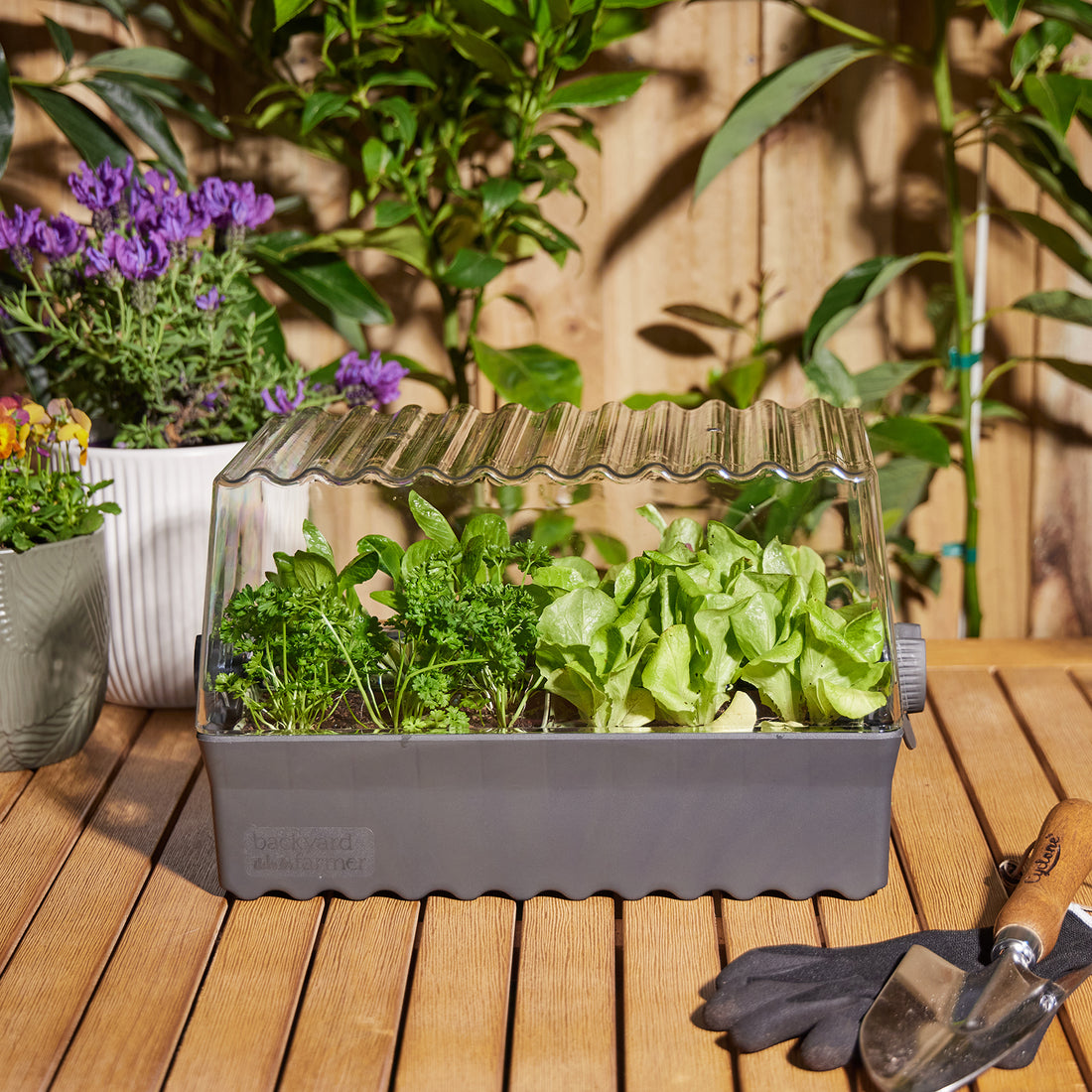 Propagation & Seed Raising – Backyard Farmer