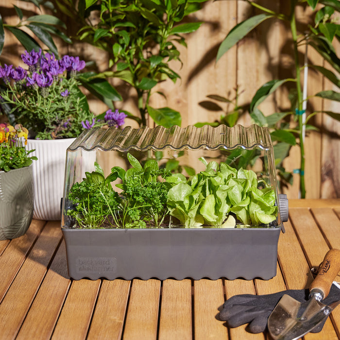Products – Backyard Farmer