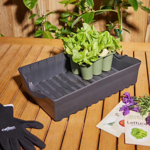 Flori - The Seed Raising Kit – Backyard Farmer