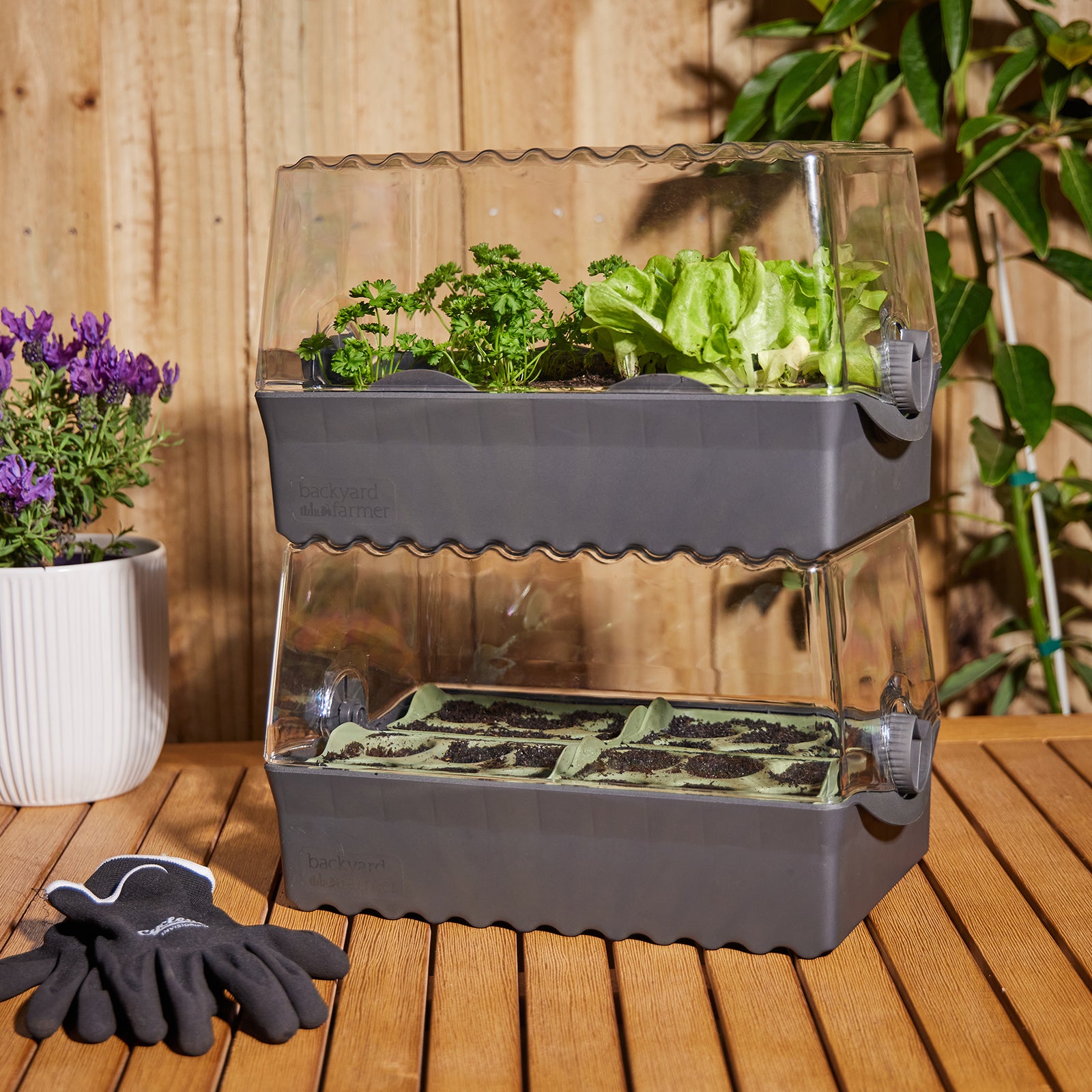 Flori - The Seed Raising Kit – Backyard Farmer