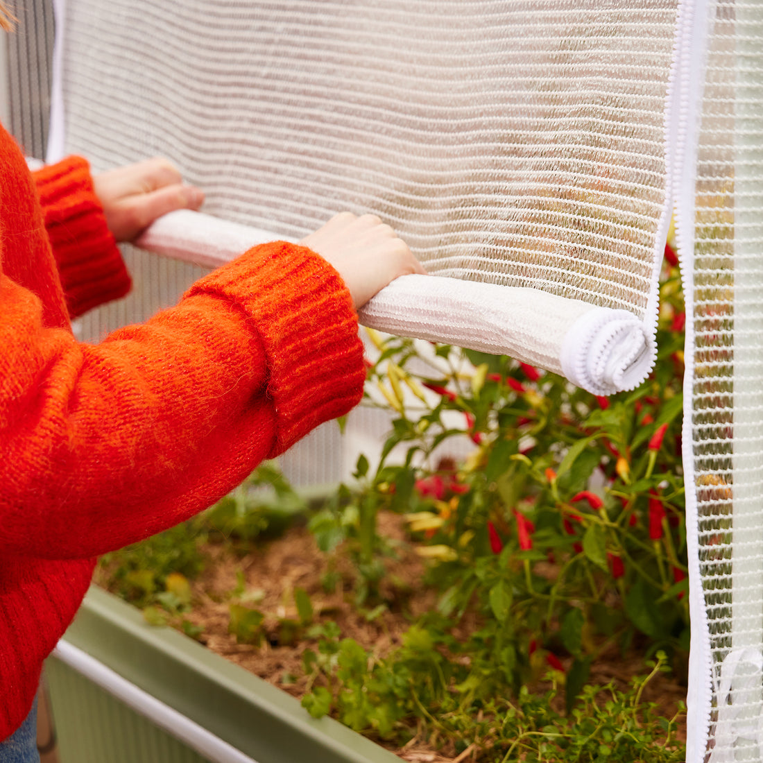 Raised Garden Beds – Backyard Farmer