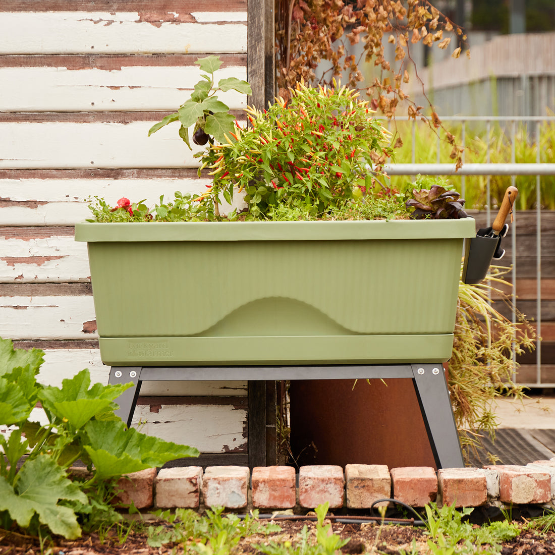 Raised Garden Beds – Backyard Farmer