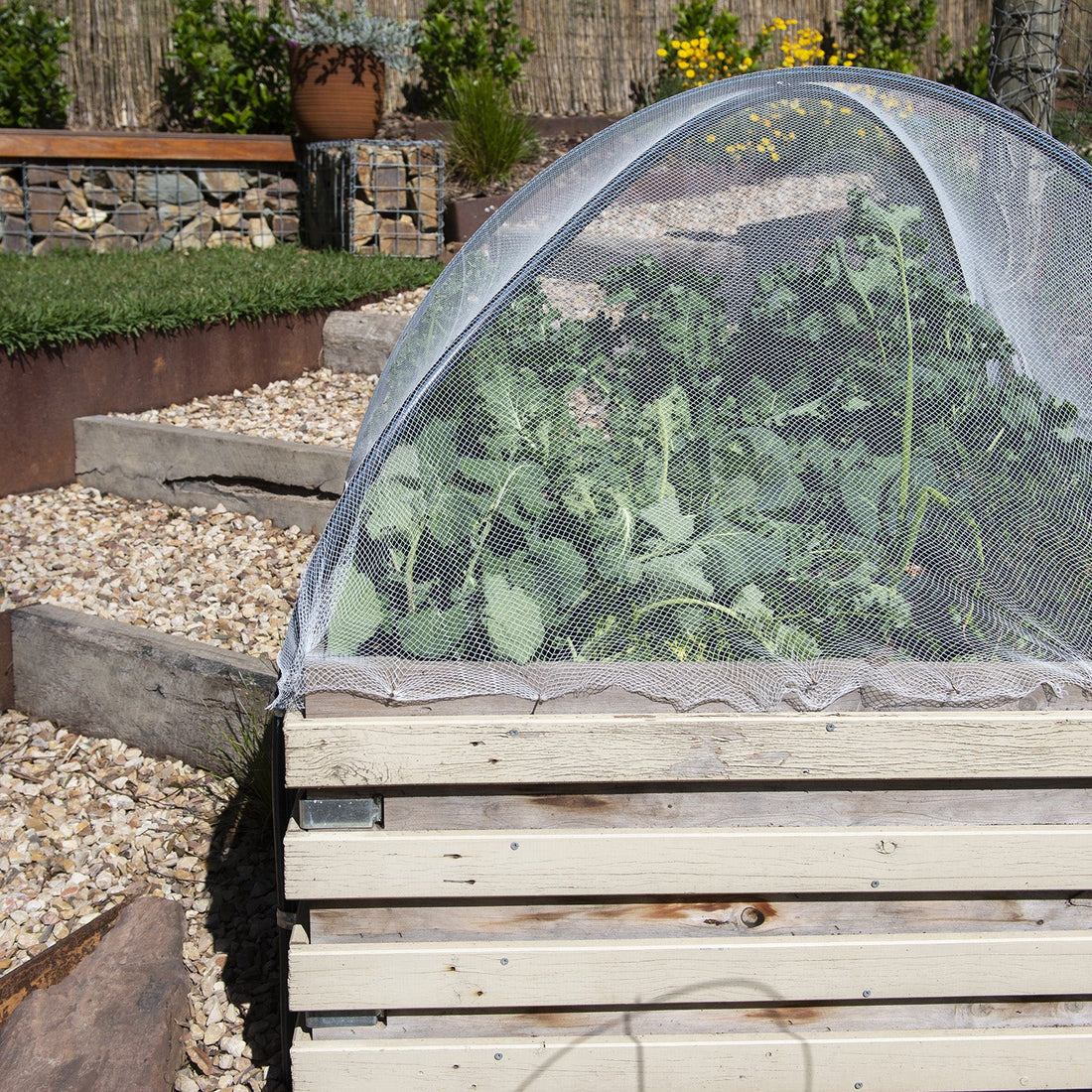 Crop Protection – AMES Backyard Farmer